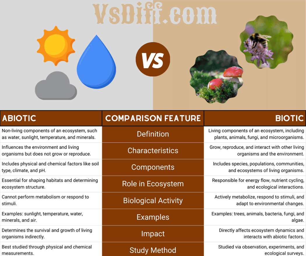Abiotic vs Biotic: Detailed Difference