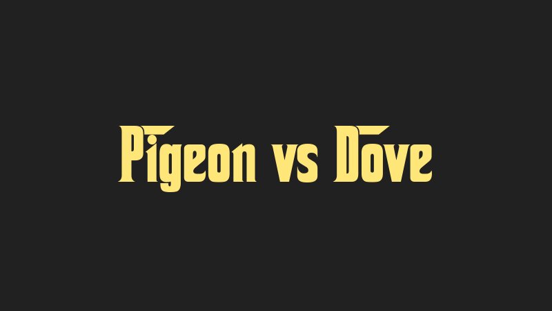 Pigeon vs Dove: Detailed Difference